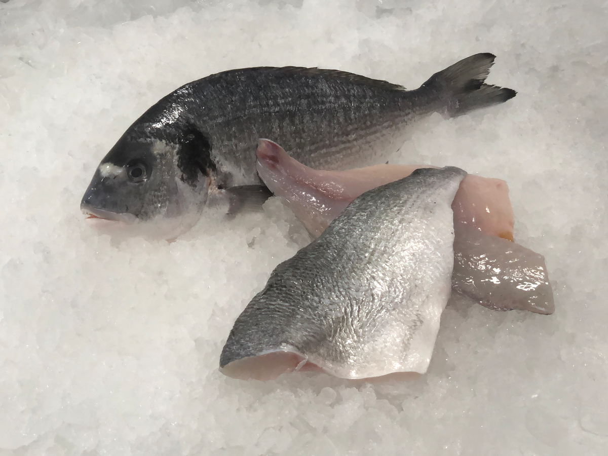 Fresh Mediterranean Sea Bream – AdMaioraSeafood